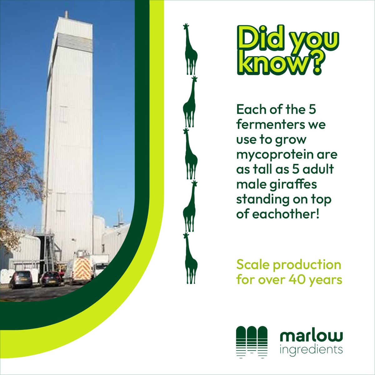 Marlow Ingredients. Brand strategy by design studio Superfried.